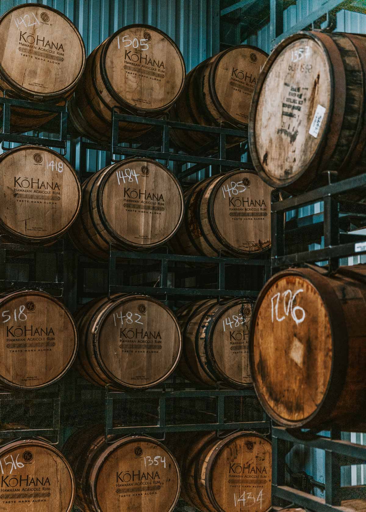 The Perfect 1 Day Road to Hana Itinerary (& What to Skip)